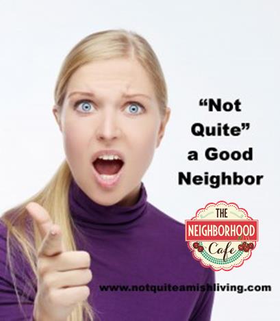 Not Quite a Good Neighbor - Amy Lively