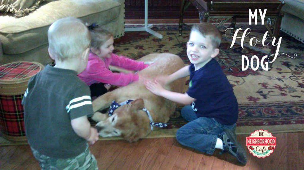 My Holy Dog - Amy Lively