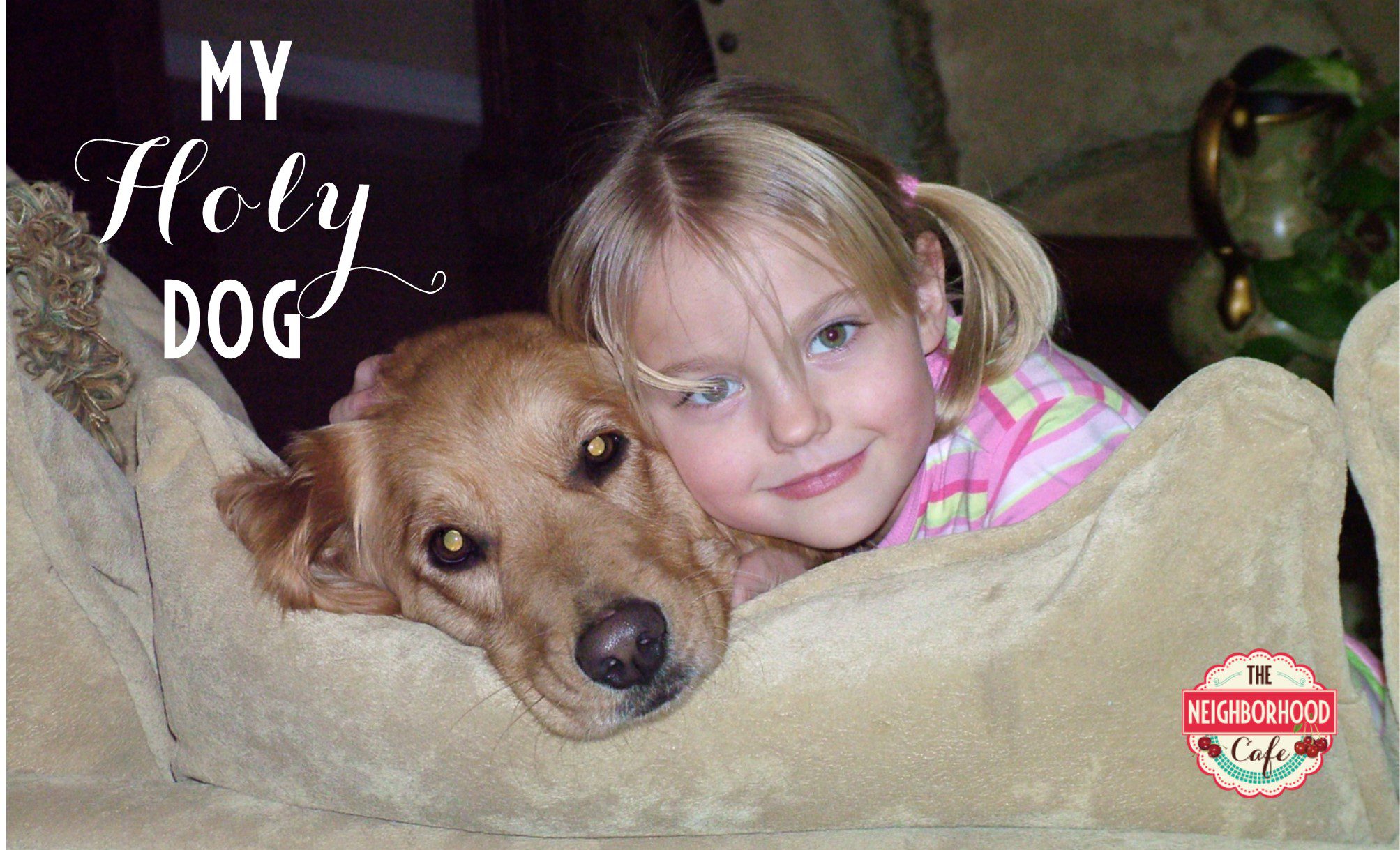 My Holy Dog - Amy Lively