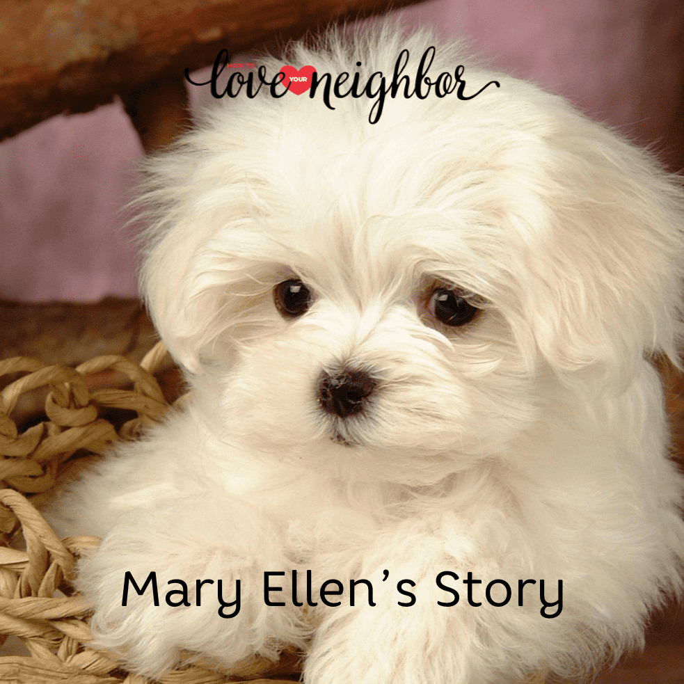 Mary Ellen’s Story - Amy Lively