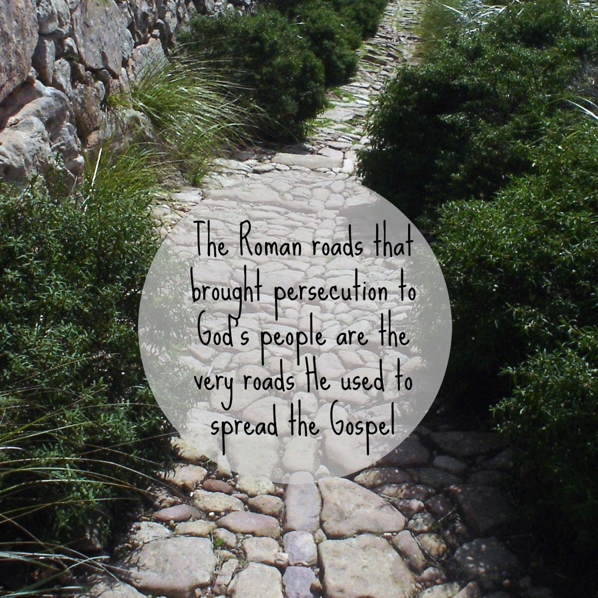 Roman Roads: Finding Hope In Hopeless Times - Amy Lively