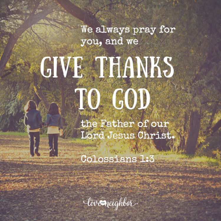 Happy Thanksgiving to you and your neighbors! - Amy Lively