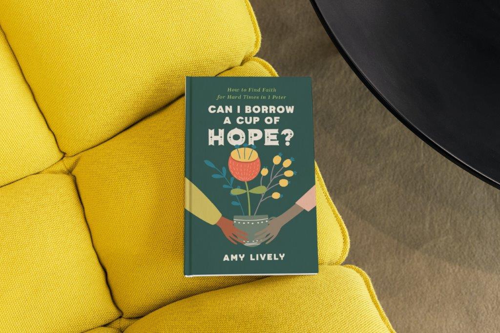 Cutest Book Cover Ever! - Amy Lively