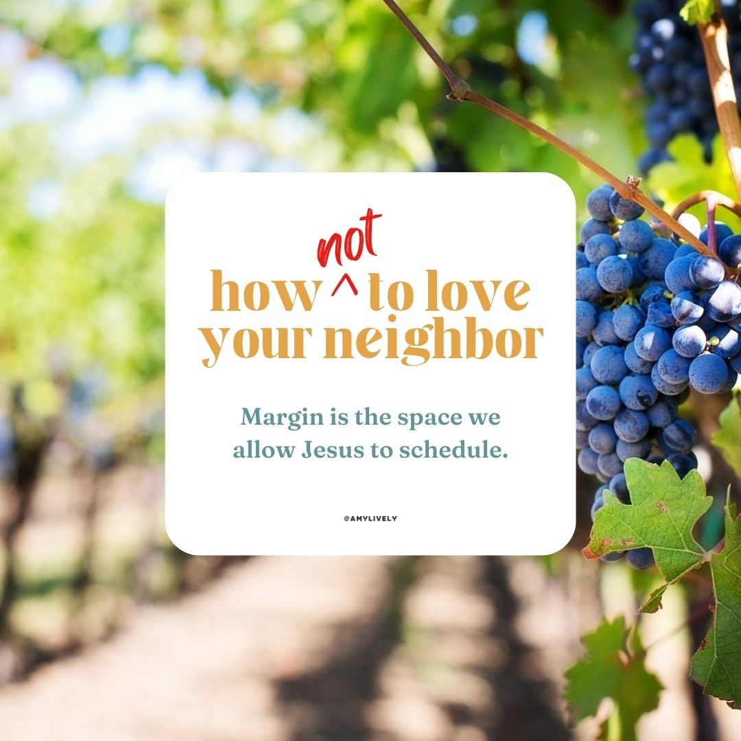 How Not to Love Your Neighbor - Amy Lively